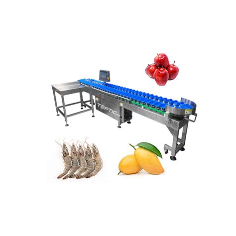 Weight Sorting Machine Grading Machine Weight Grader Sorter Sorting Machinery For Fruit Tomato