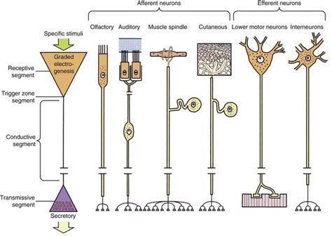 Misterhoki Link Slot Online Gacor Deposit Qris Tanpa Potongan Hari Ini