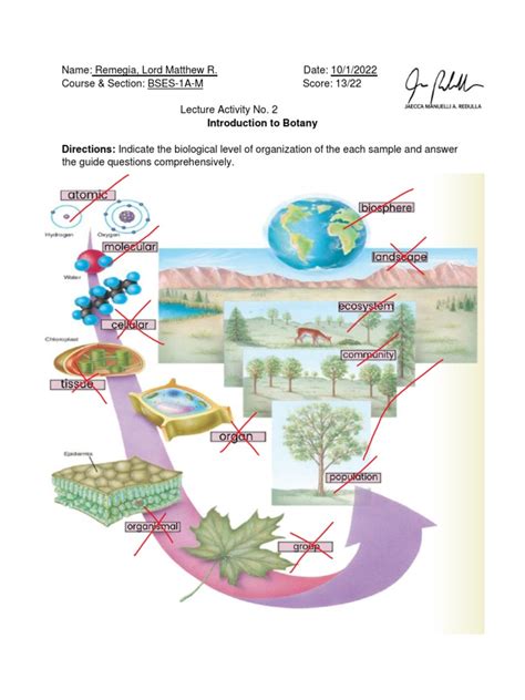 Lecture Activity No 2 Introduction To Botany Pdf Plants Botany