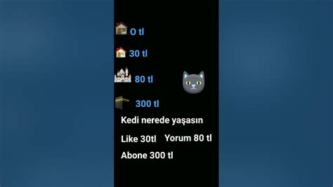 Kedicik Nerede Yaşasın😭😭😭 Youtube
