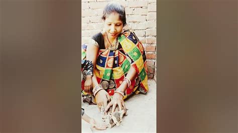 Jay Guru Dev Youtube