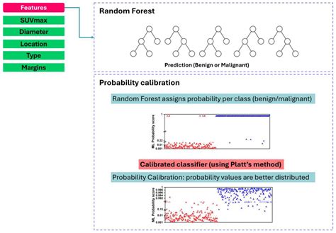 Integrating Machine Learning In Clinical Practice For Characterizing The Malignancy Of Solitary