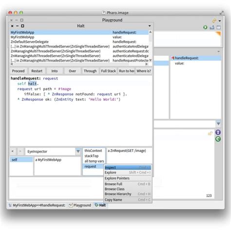 4 Using The Debugger To Navigate Execution Download Scientific Diagram