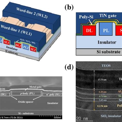 Experimental Recognition Of Spatiotemporal Patterns A Measured V Int Download Scientific