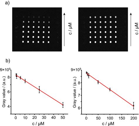 a ecl images and b calibration curves for different concentrations