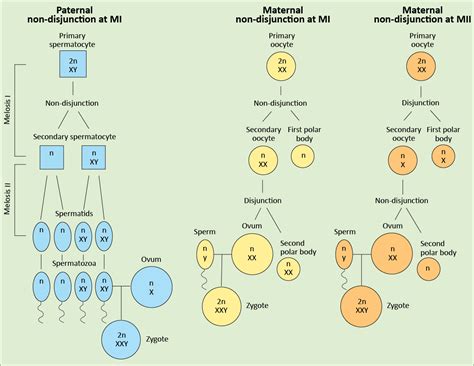 Klinefelter Syndrome Psychology