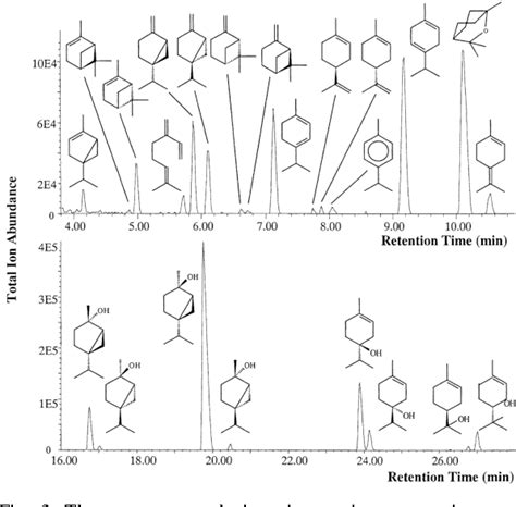 Figure 3 From Gas Chromatographic Technologies For The Analysis Of Essential Oils Semantic