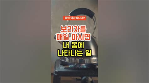 보리차를 매일 마시면 내몸에 나타나는 일 보리차 건강차 Youtube