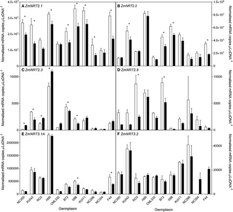 Root Transcript Levels Of Putative High Affinity Nrt2 No3− Download Scientific Diagram