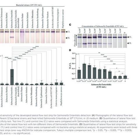 Schematic Of The Process For The Development Of A Lateral Flow Strip
