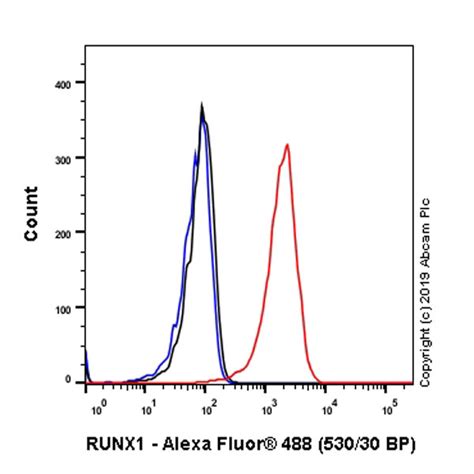 Anti Runx1 Aml1 Antibody Chip Grade Epr23309 113 Ab272456 Abcam
