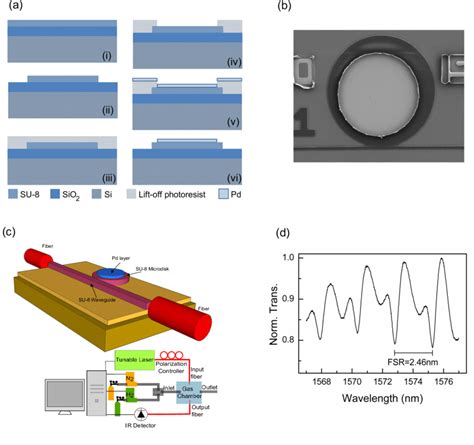 A Cross Sectional Schematic Views Showing The Microfabrication Steps