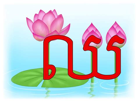 សម្ភារៈឧបទេសថ្នាក់មត្តេយ្យ សម្ភារៈឧបទេសថ្នាក់មត្តេយ្យ