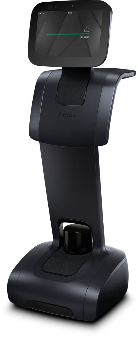 Business Robots Temi Robot
