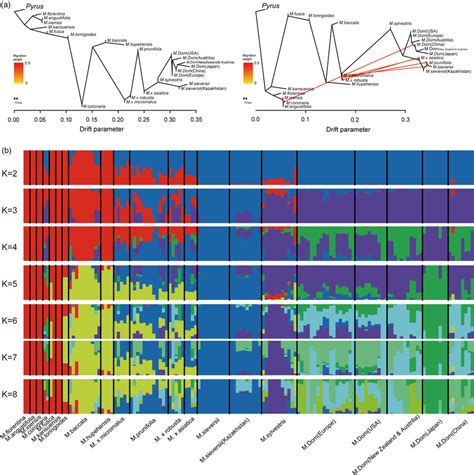 Introgression And Structure Of Malus Accessions A Maximum‐likelihood