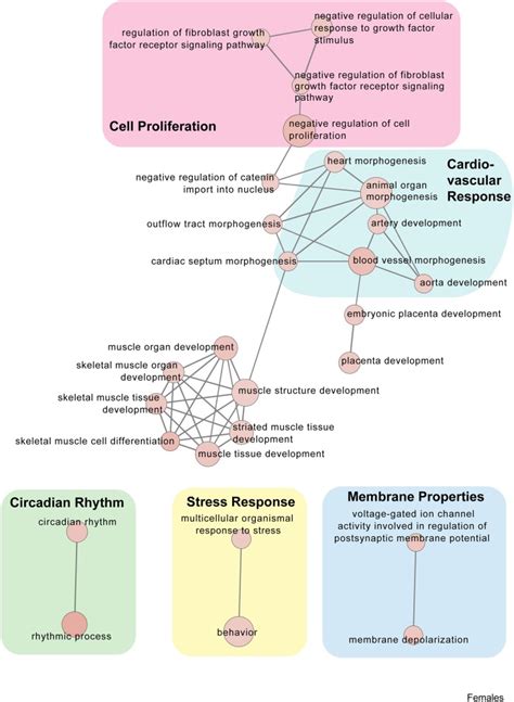 Sleep Deprivation Alters The Pituitary Stress Transcriptome In Male And Female Mice Pmc