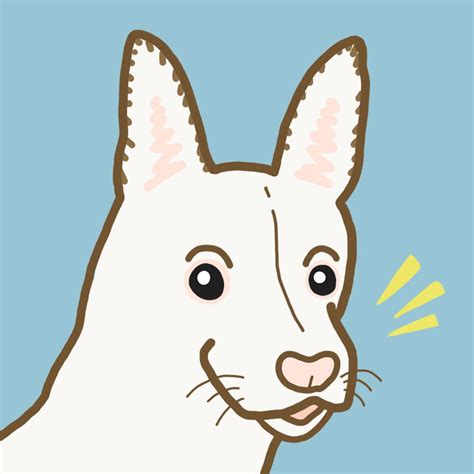 【minitool Partition Wizard 評判・安全性】pc用パーティション管理ソフト【使い方・有料版・クローン】 スカバズ