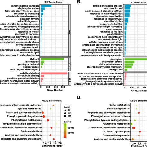 Functional Annotation Of Differentially Expressed Lncrnas By Go