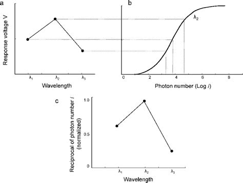 An Alternative Method Of Spectral Sensitivity Measurement A Spectral