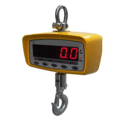 How To Choose The Best Hanging Scale For Better Accuracy