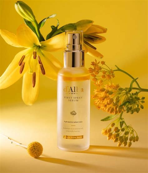 달바글로벌 기대 못 미친 2분기 실적에 17 급락