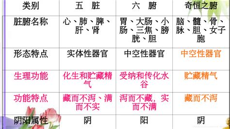 中医药学概论（复习详解） 中医药概论考试csdn csdn博客