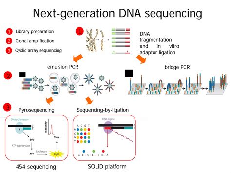 Introduction To Next Generation Sequencing PDF