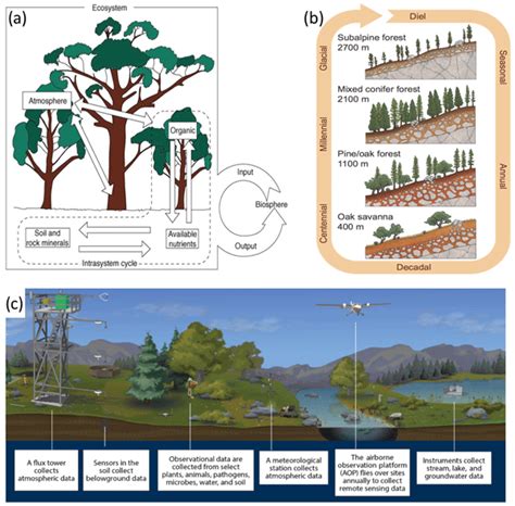 SOIL Relations Using Constructed Soils For Green Infrastructure Challenges And Limitations
