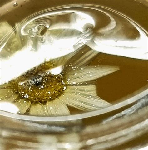 Антипаразитна програма за паразити в червата Съставките са тиквено сурово семе 100 г мед или