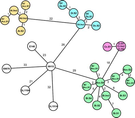 Whole Genome Mlst Relationships Minimum Spanning Tree Based On 2005 Download Scientific