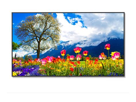 Sharp Nec 98 M981 4k Ultra Hd Led Lcd Display M981