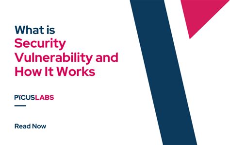 What Is Adversary Emulation Picus