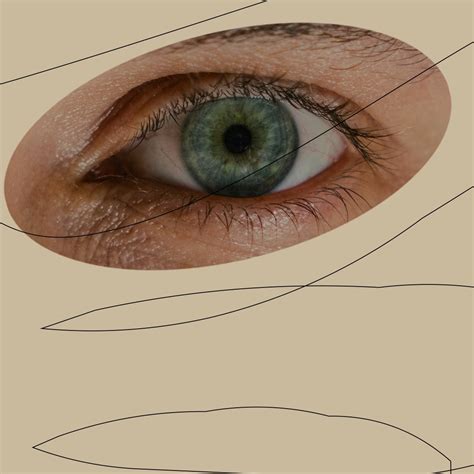 Espaces Incarnés Rendez Vous De La Performance Phi