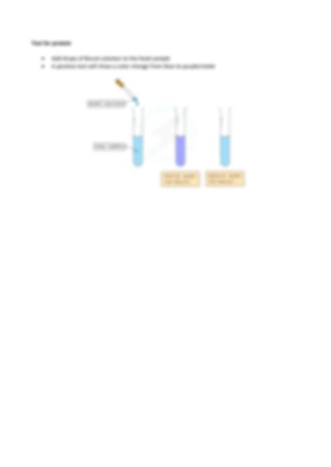 Solution Igcse Biology Food Tests Notes Studypool