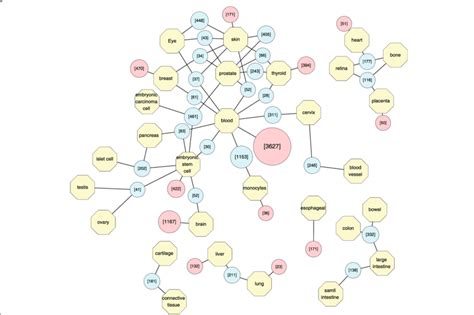 Network Summary Of The Tissue Specific Circrnas The Circular Nodes In