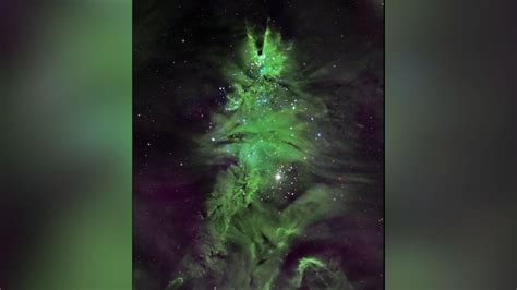 Christmas Wishes Nasa अंतरिक्ष में दिखा अद्भुत क्रिसमस ट्री क्लस्टर