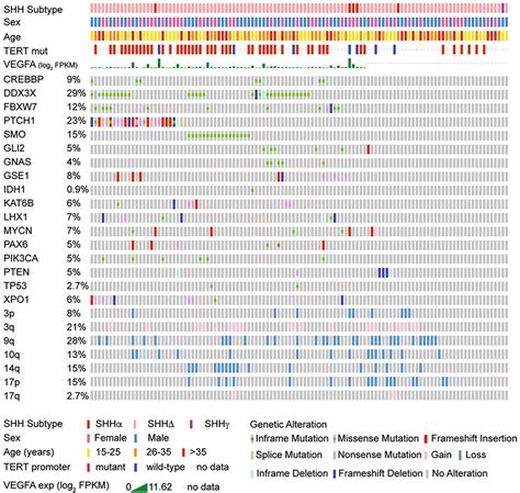 Subgroup And Subtype Specific Outcomes In Adult Medulloblastoma Pmc