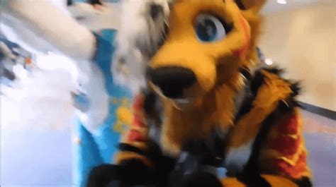 Fursuit S — Source