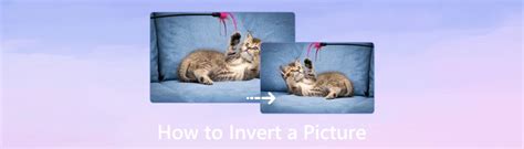 Full Guide To Invert An Image Without Losing The Quality