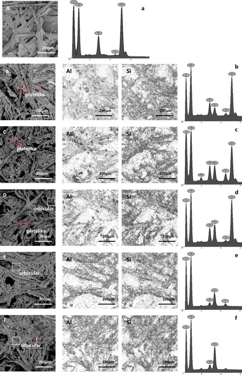 micromorphology left element mappings middle and elemental weight