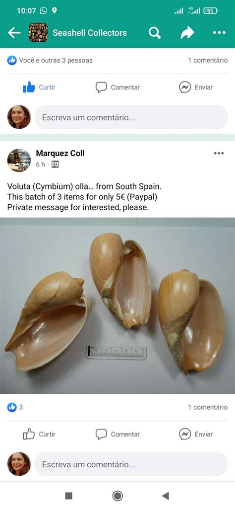 Pin De Silvia Asseiro Em Shell Names And Models