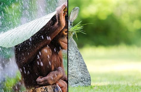 Javascript Анимация слов на Html Css Js Stack Overflow на русском