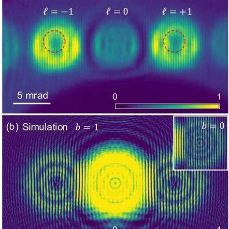 A Schematic Of A Fork Grating With B 1 B Scanning Electron Download Scientific Diagram
