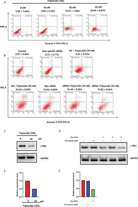 Frontiers Identification And Validation Of The Role Of C Myc In Head And Neck Squamous Cell