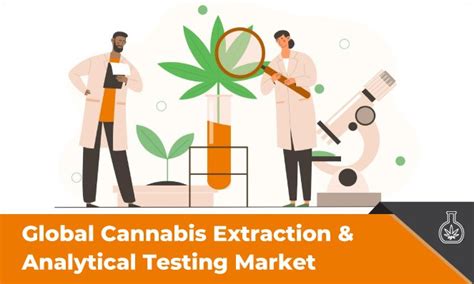 Quality Assurance In Cannabis Extraction And Analytical Testing Market