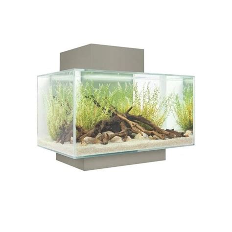 Fluval Edge 23l Aquarium Setup Gloss White Lincs Aquatics