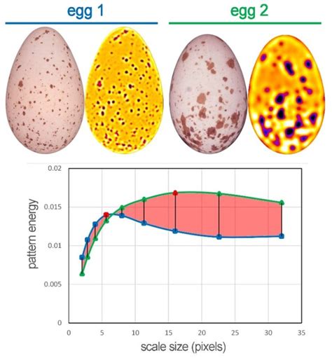 A Users Perspective Guide On Colour Granularity Analysis Using The MICA Toolbox Studying