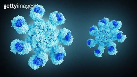 Isolated Human Apoptosome Molecule Or Apaf 1 이미지 1790845584 게티이미지뱅크
