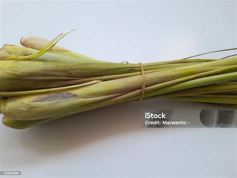 레몬 그라스 잎 또는 레몬 그라스의 줄기 흰색 배경에 상단보기 0명에 대한 스톡 사진 및 기타 이미지 Istock