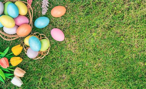 Real Easter Eggs In Grass